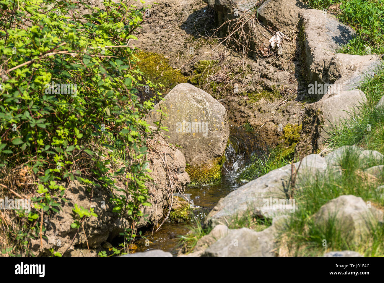 River or creek running along some rocks and plants Stock Photo - Alamy