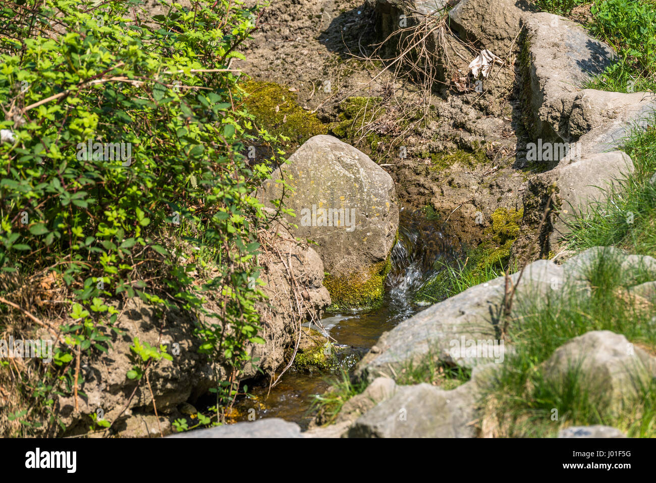 Beautiful nature running river hi-res stock photography and images - Alamy