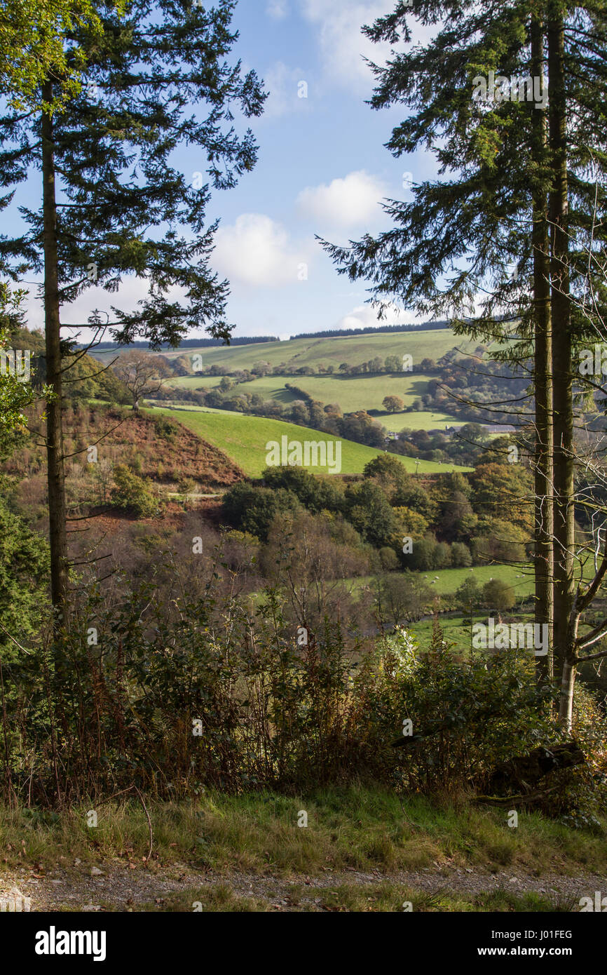 Vertical landscape of trees and hills, the beautiful Welsh countryside ...