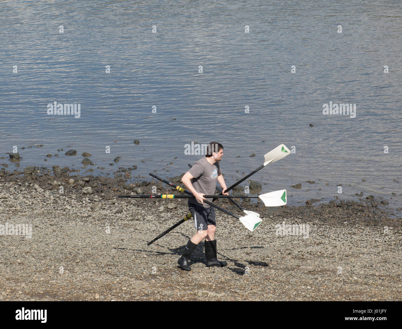 river Thames rowing boat rowers bank sport rowing Stock Photo - Alamy