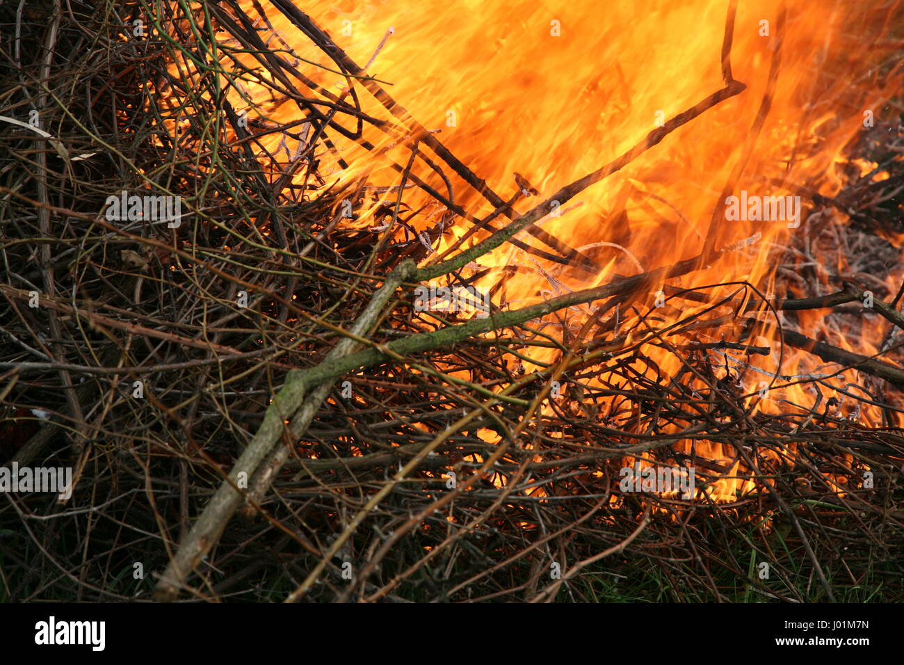 Burnt bush hi-res stock photography and images - Alamy