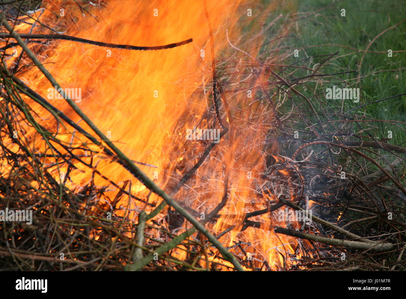 Burnt old bush hi-res stock photography and images - Alamy