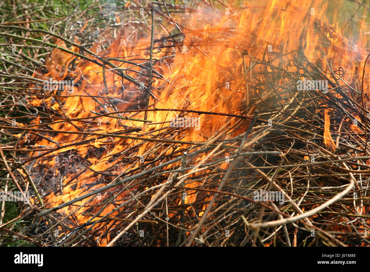Burnt old bush hi-res stock photography and images - Alamy
