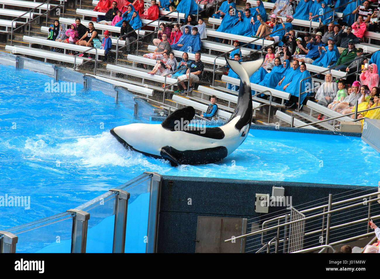 Seaworld orlando hi-res stock photography and images - Alamy