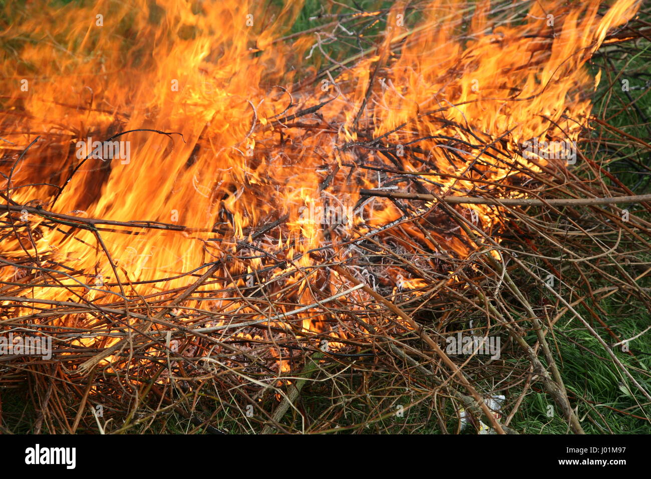 Burnt bush hi-res stock photography and images - Alamy