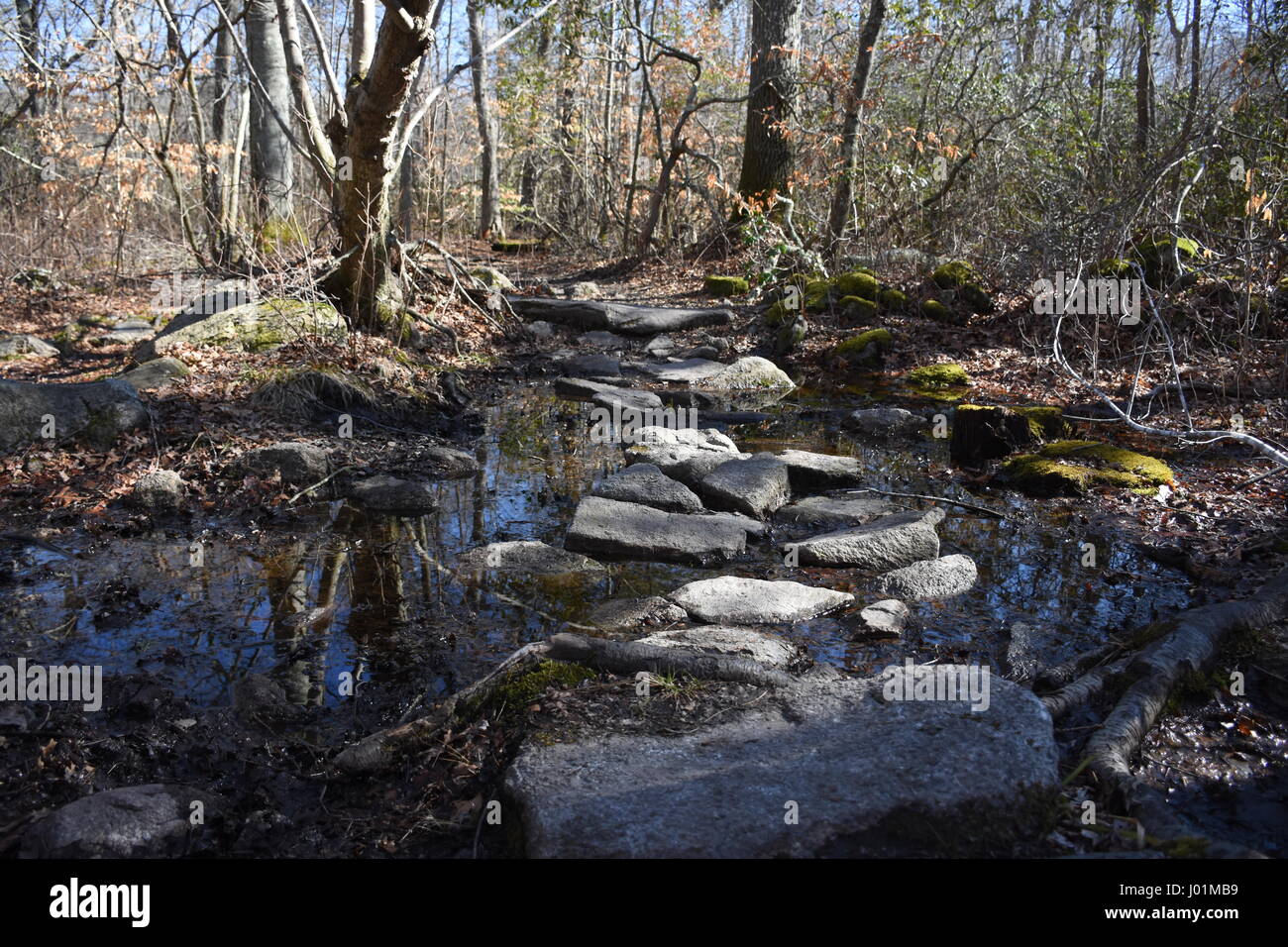 A stone path allows travel over the water on the trail at Weetamoo ...