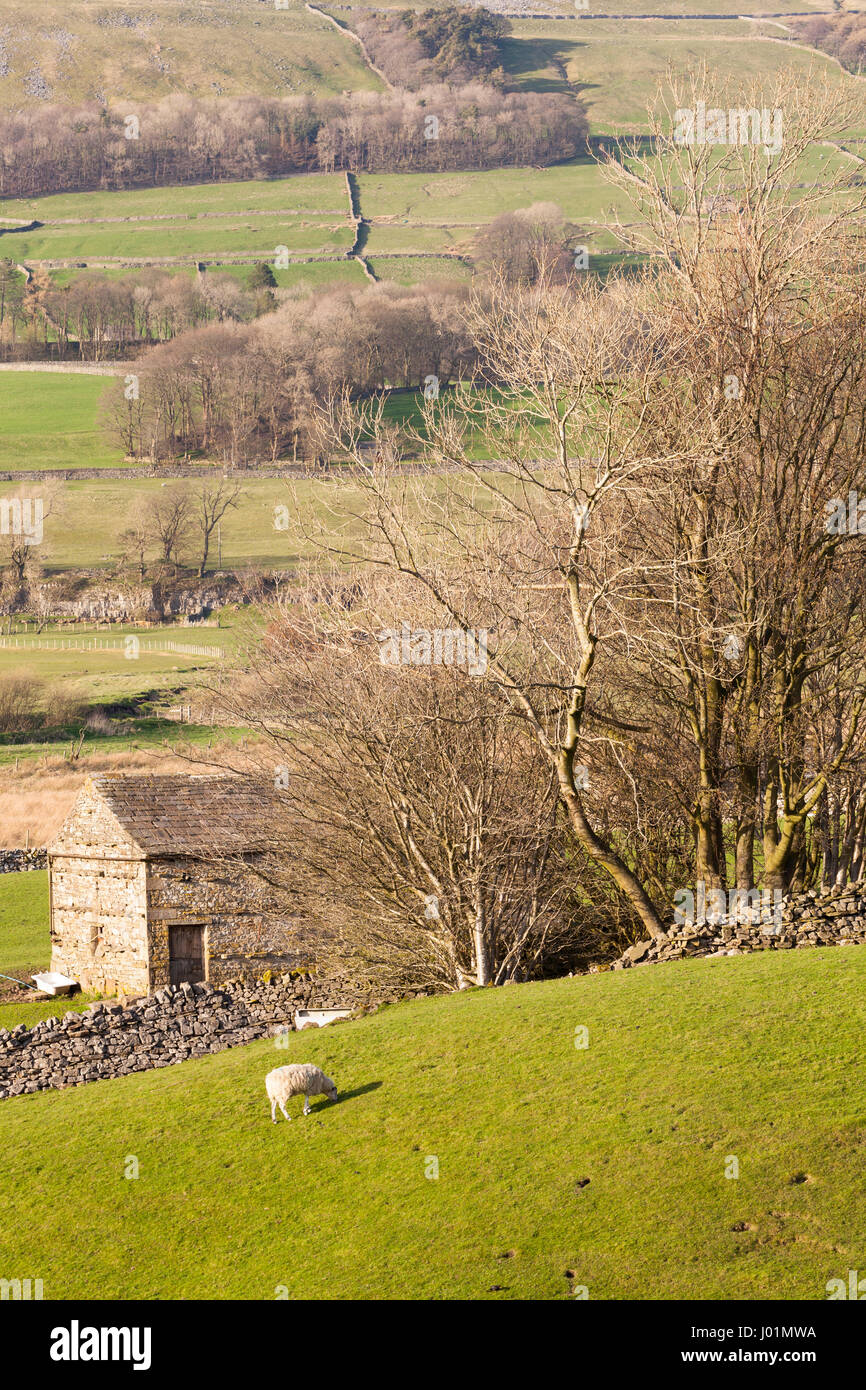 Rolling pastures hi-res stock photography and images - Alamy