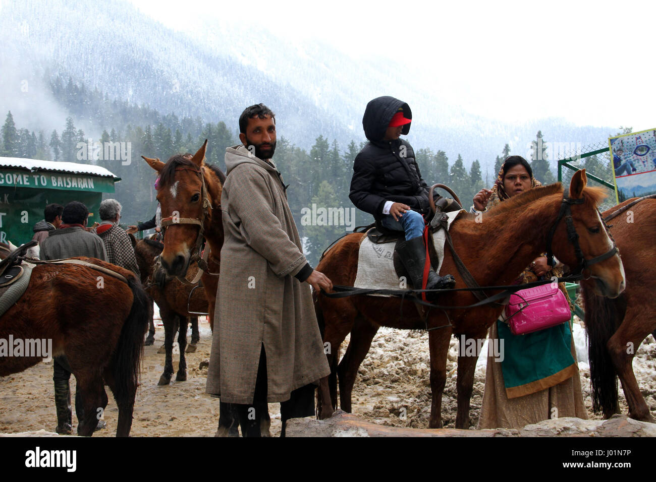 Kashmiri pony hi-res stock photography and images - Alamy