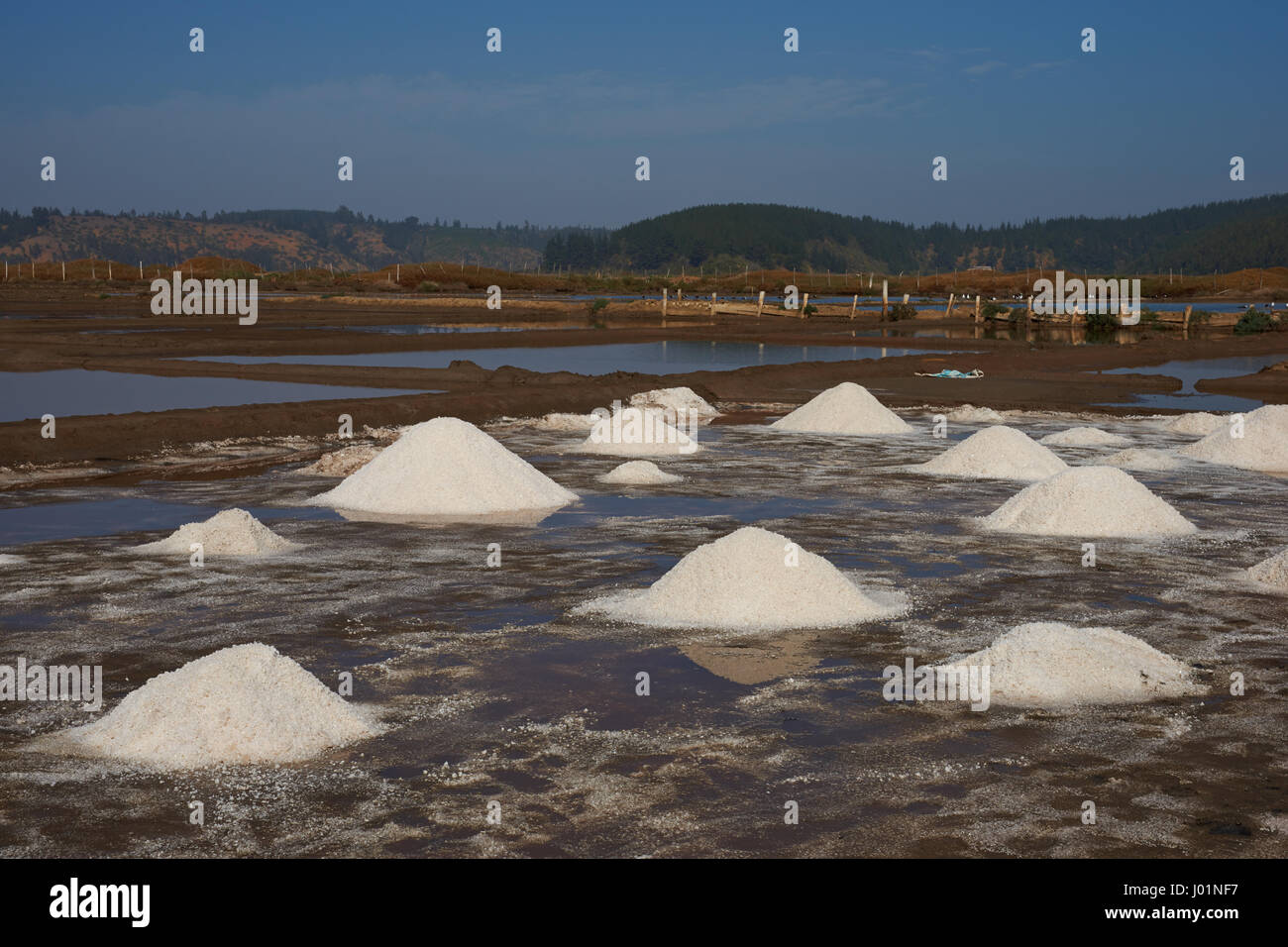 Water food pyramid hi-res stock photography and images - Alamy