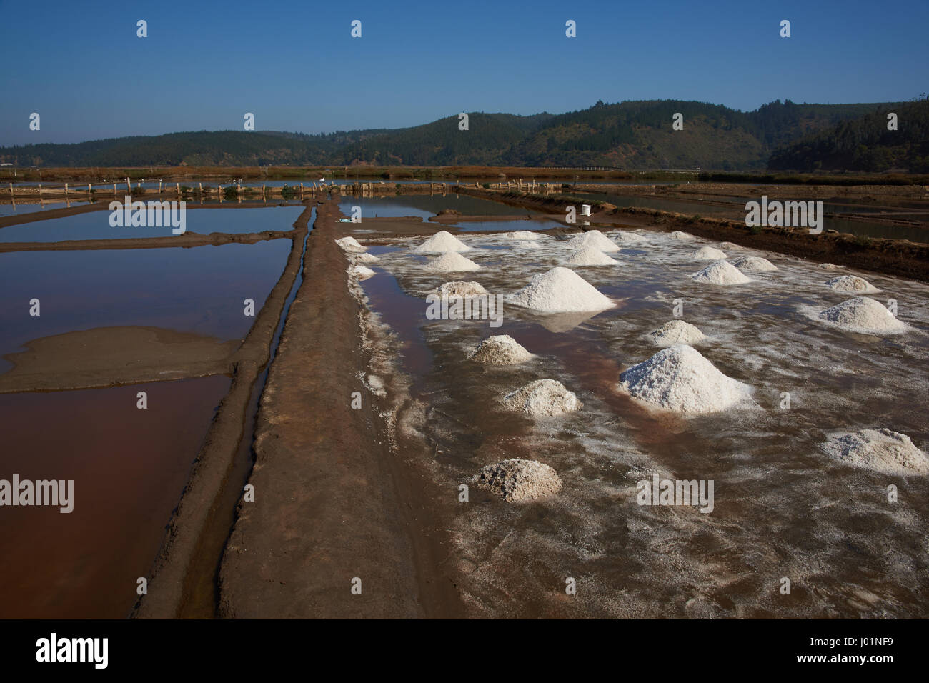 Pyramids of salt, made using traditional artisan methods in specially ...