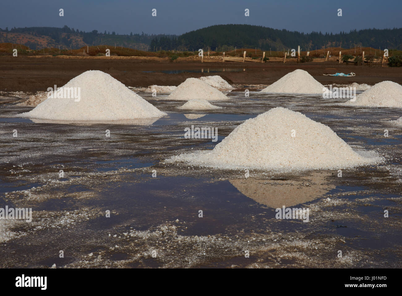 Water food pyramid hi-res stock photography and images - Alamy