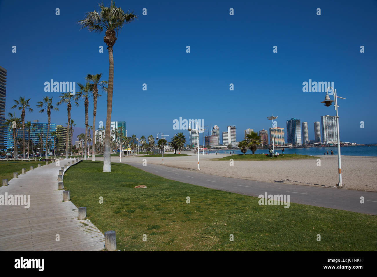 Walkway and palm trees along Cavancha Beach in Iquique, northern Chile ...