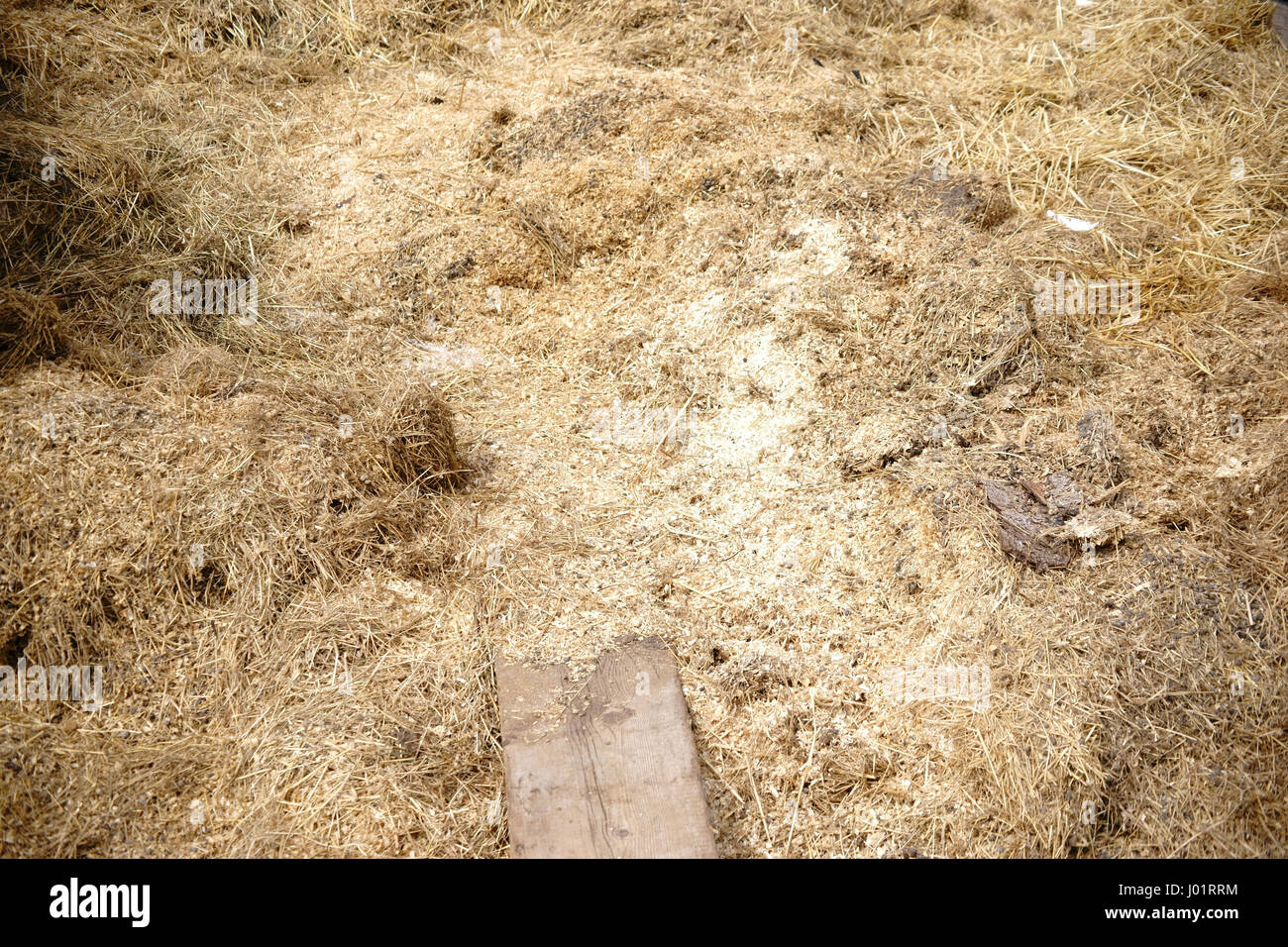 Humus pounding hi-res stock photography and images - Alamy