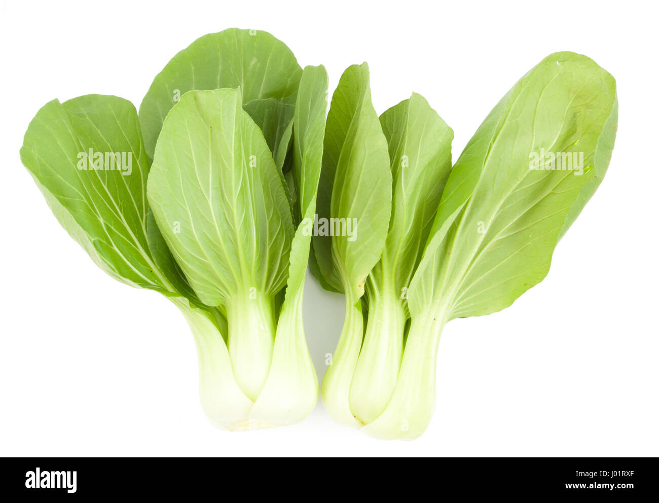 Beautiful bok choy chinese hi-res stock photography and images - Alamy