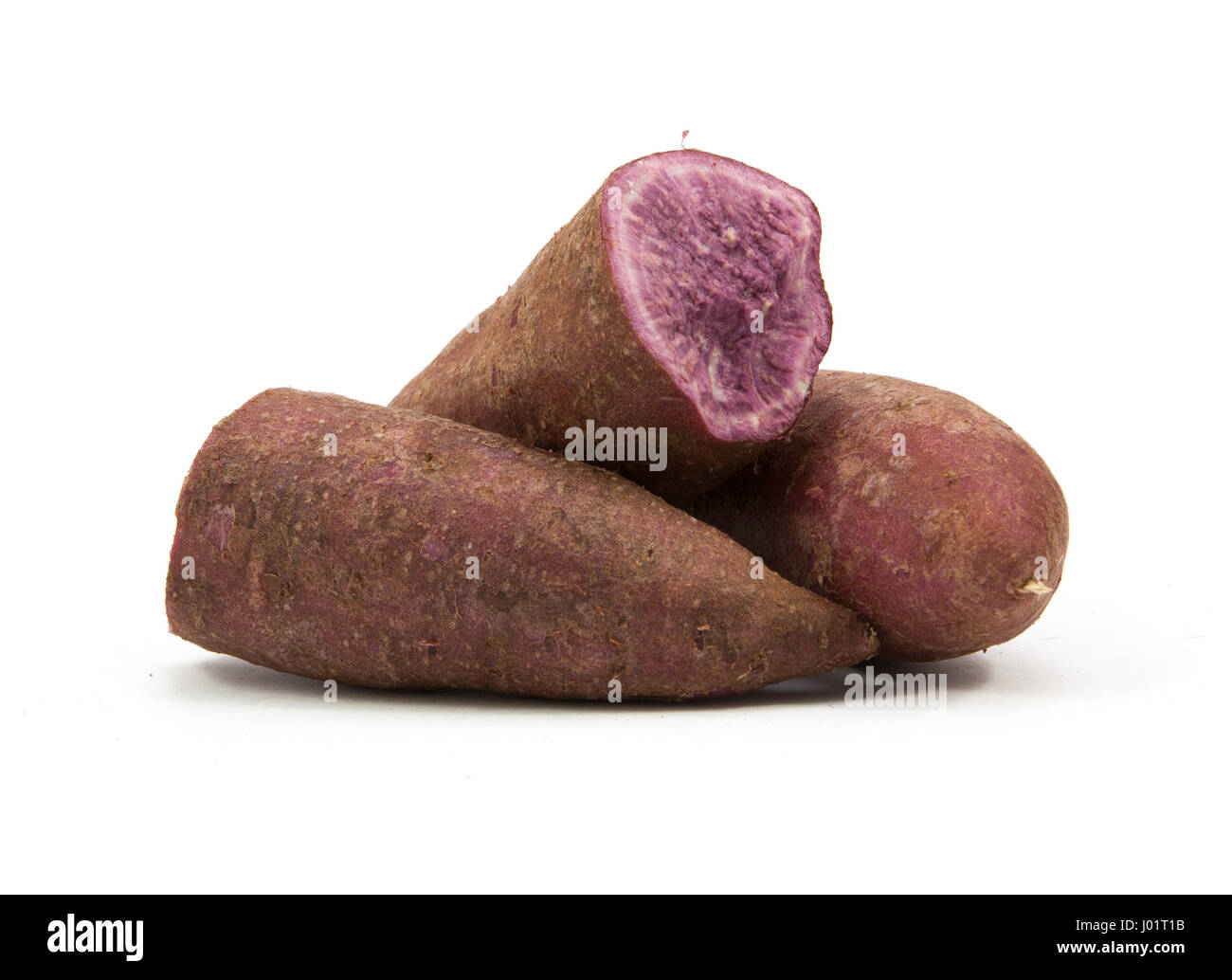 tapioca plants cassava closeup isolated on white background Stock Photo ...