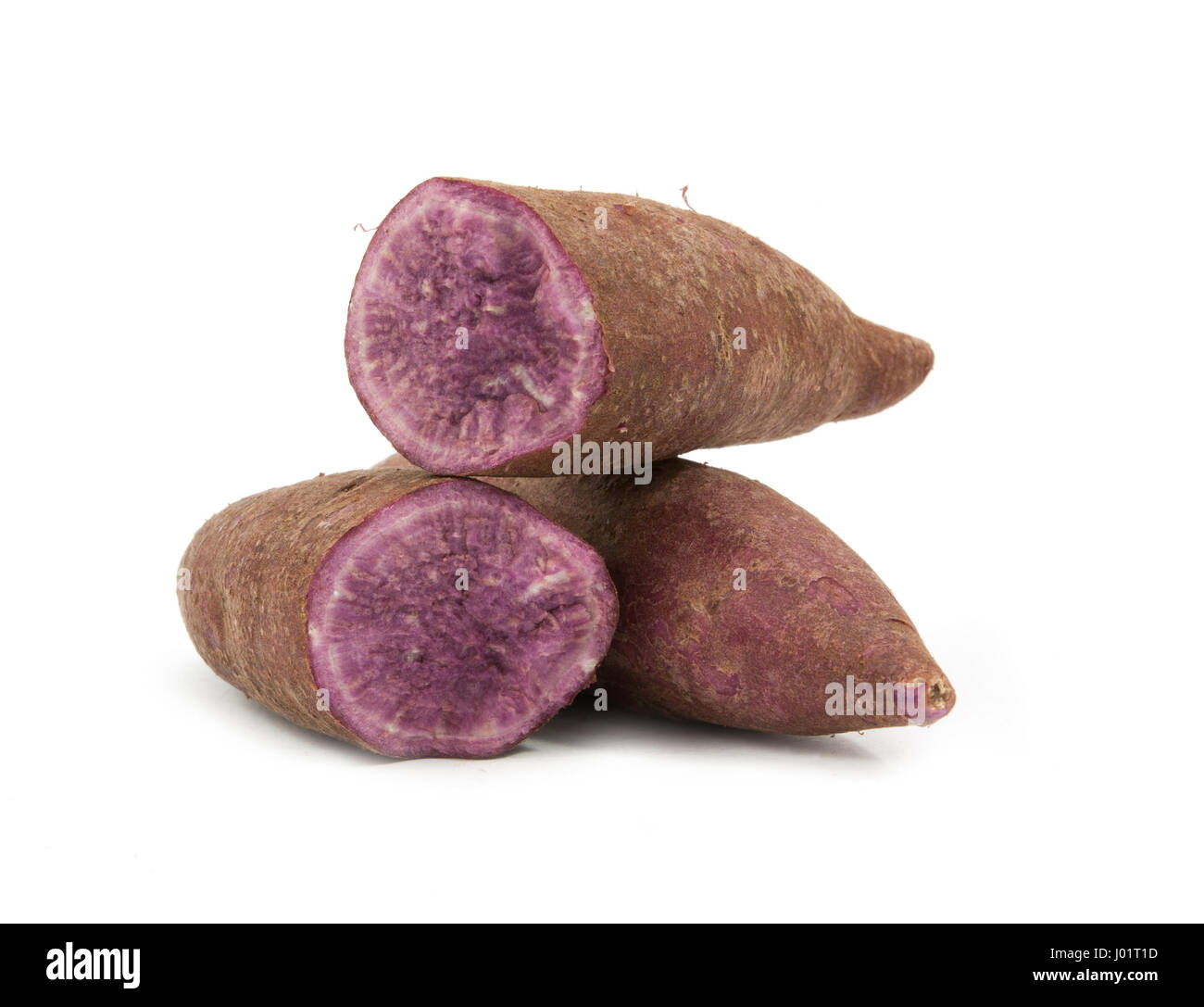 Tapioca Plants High Resolution Stock Photography and Images - Alamy