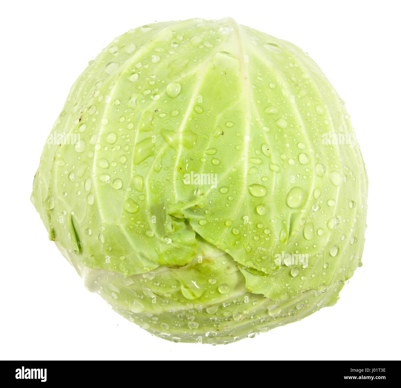 top view green cabbage isolated on white background Stock Photo - Alamy