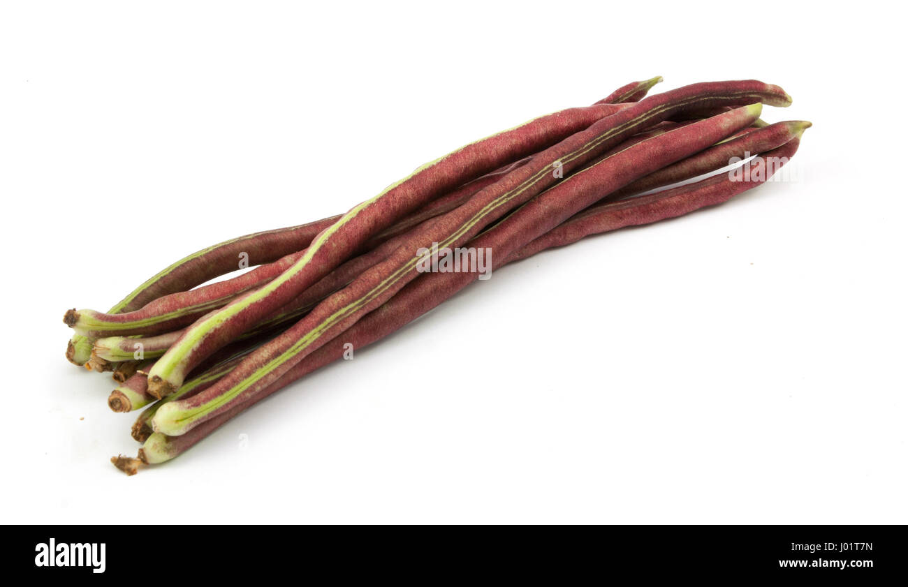 purple bean isolated on white background Stock Photo - Alamy