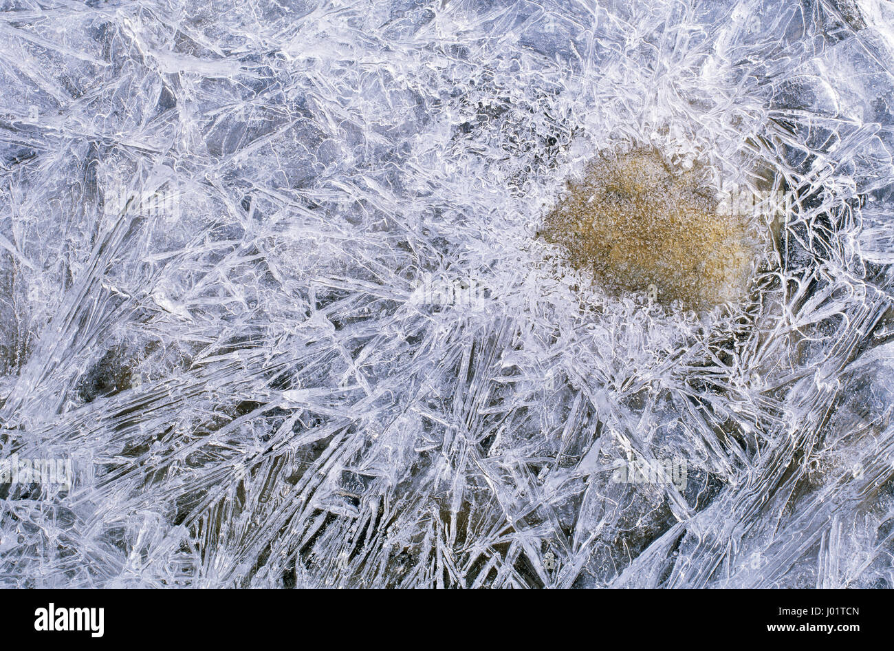 Jasper national park canada winter hi-res stock photography and images ...