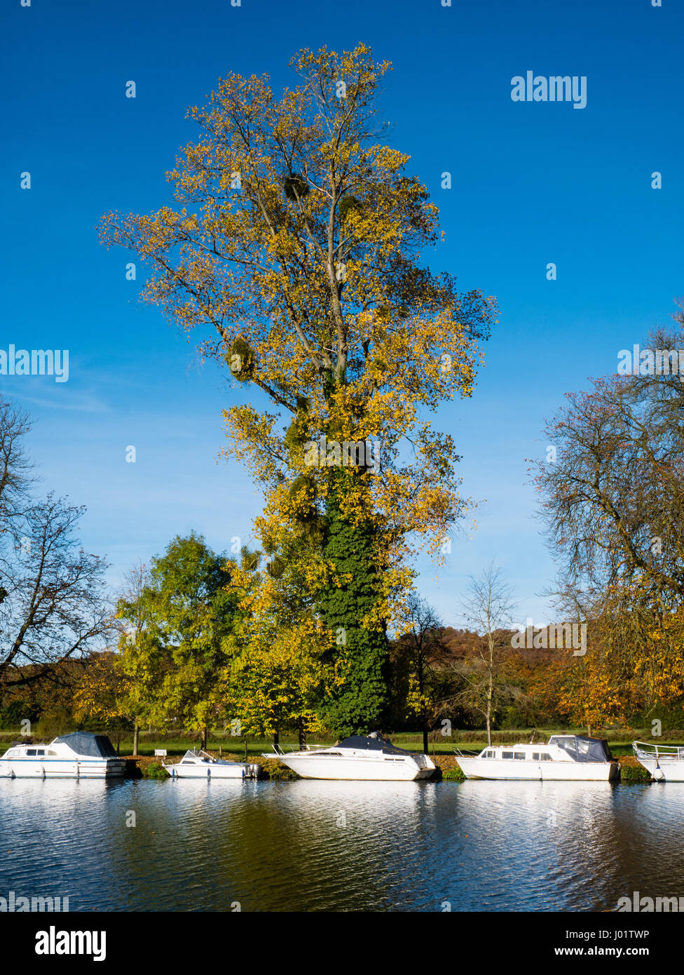 River Thames, Pangbourne on Thames, Village in Berkshire, England Stock ...
