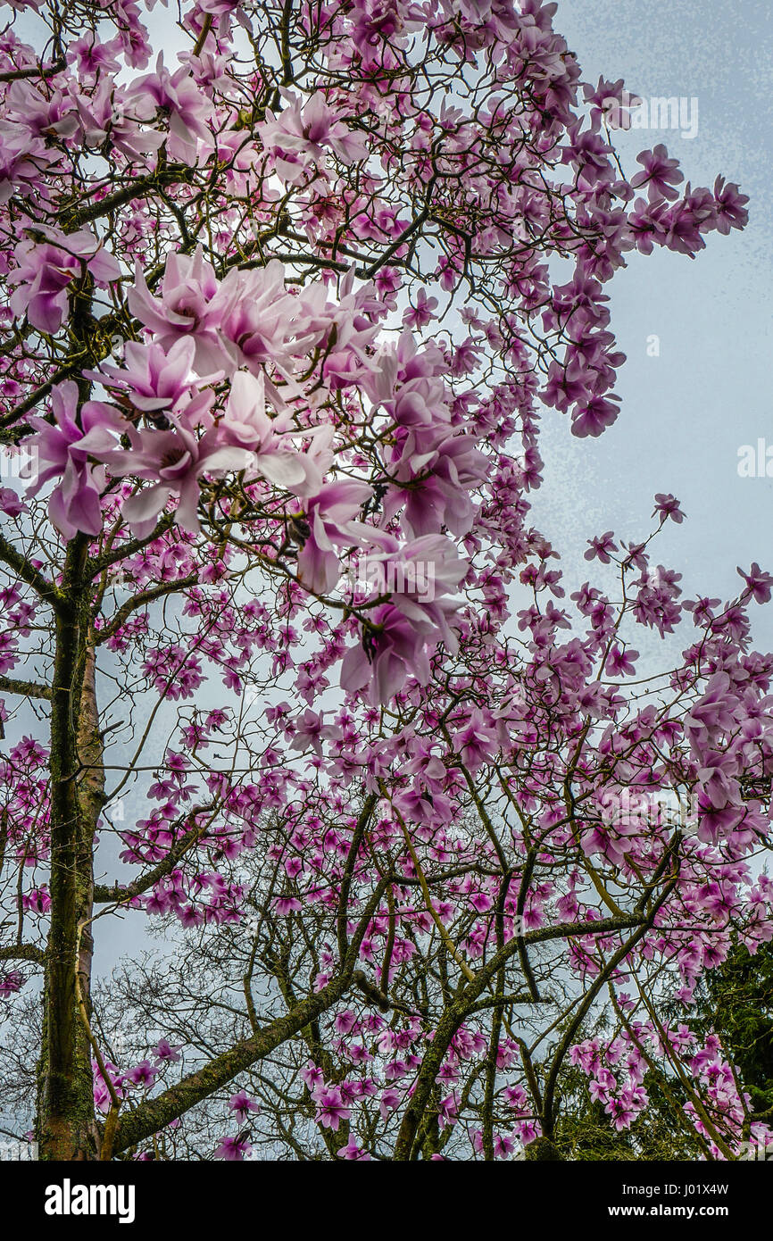 Spring afternoon sunshine hi-res stock photography and images - Alamy