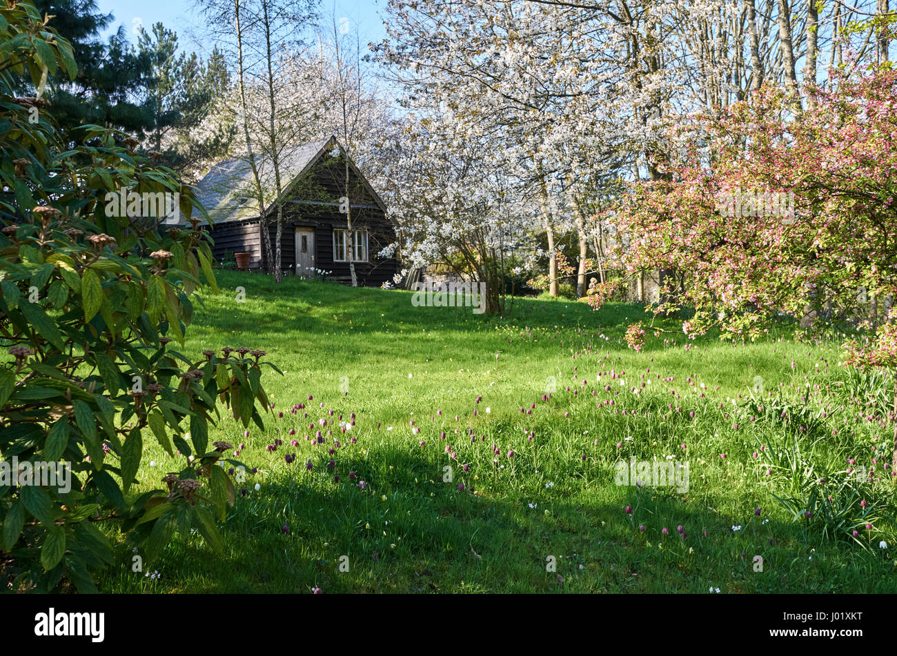 Green snakes grass hi-res stock photography and images - Alamy