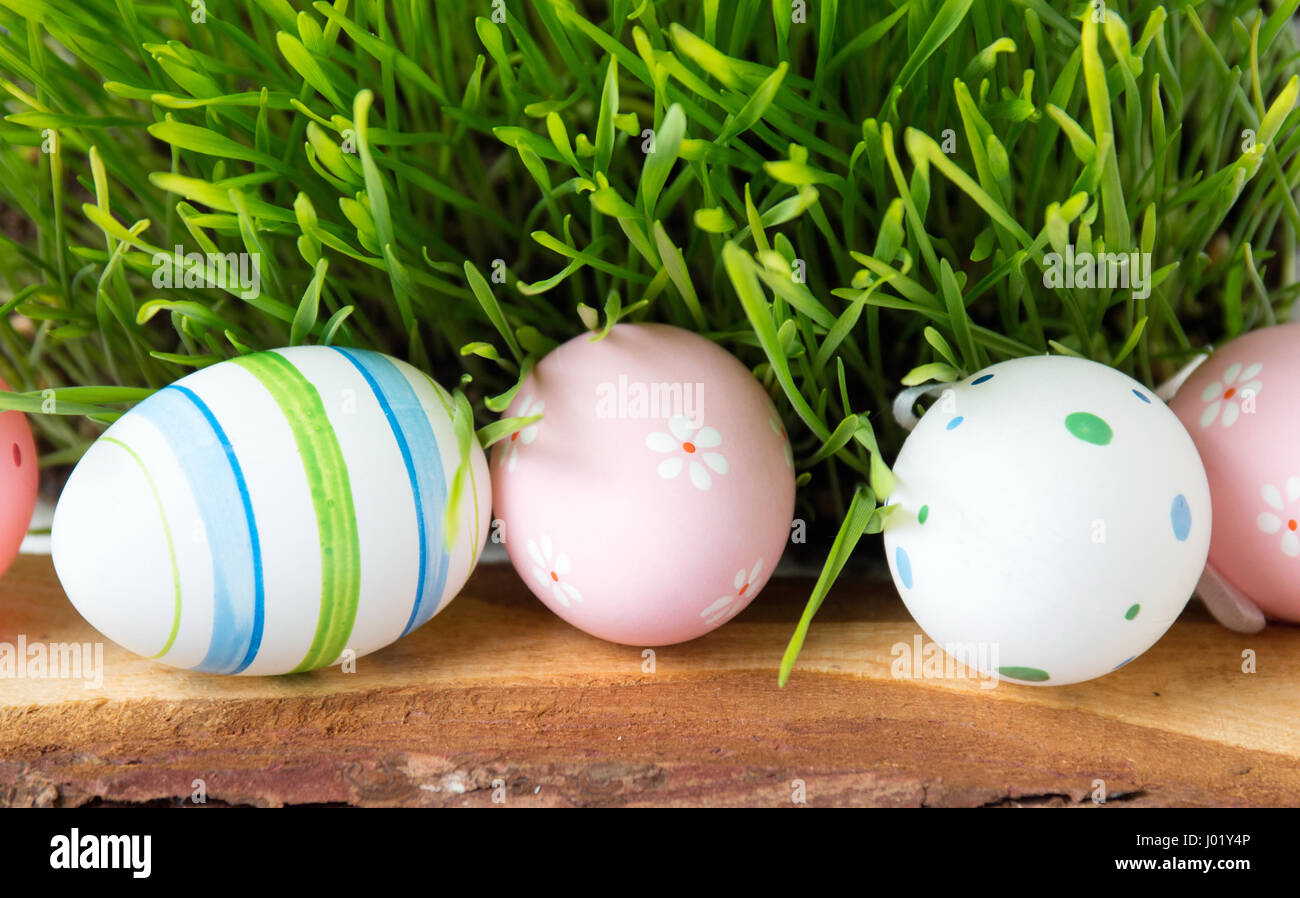 Easter eggs and green wheat plant ona board Stock Photo - Alamy