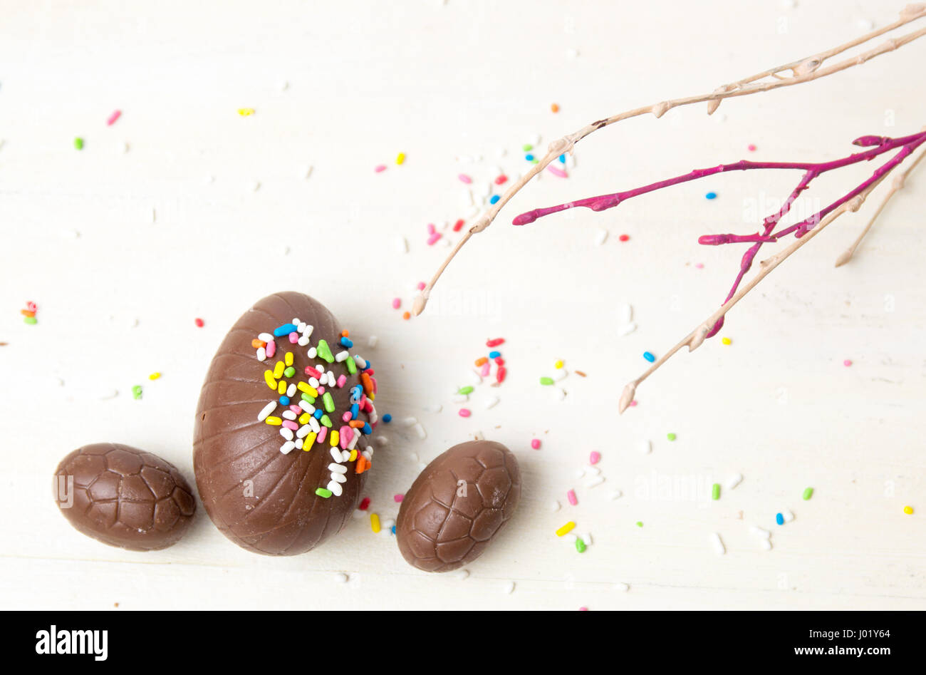 Chocolate eggs covered with edible sprinkles and tree branch Stock ...