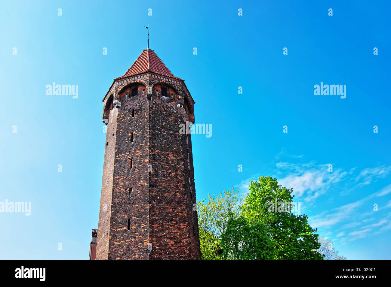 St hyacinth poland hi-res stock photography and images - Alamy