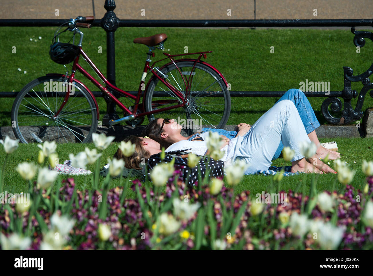 Nancy sunbathe in hyde park hi-res stock photography and images - Alamy