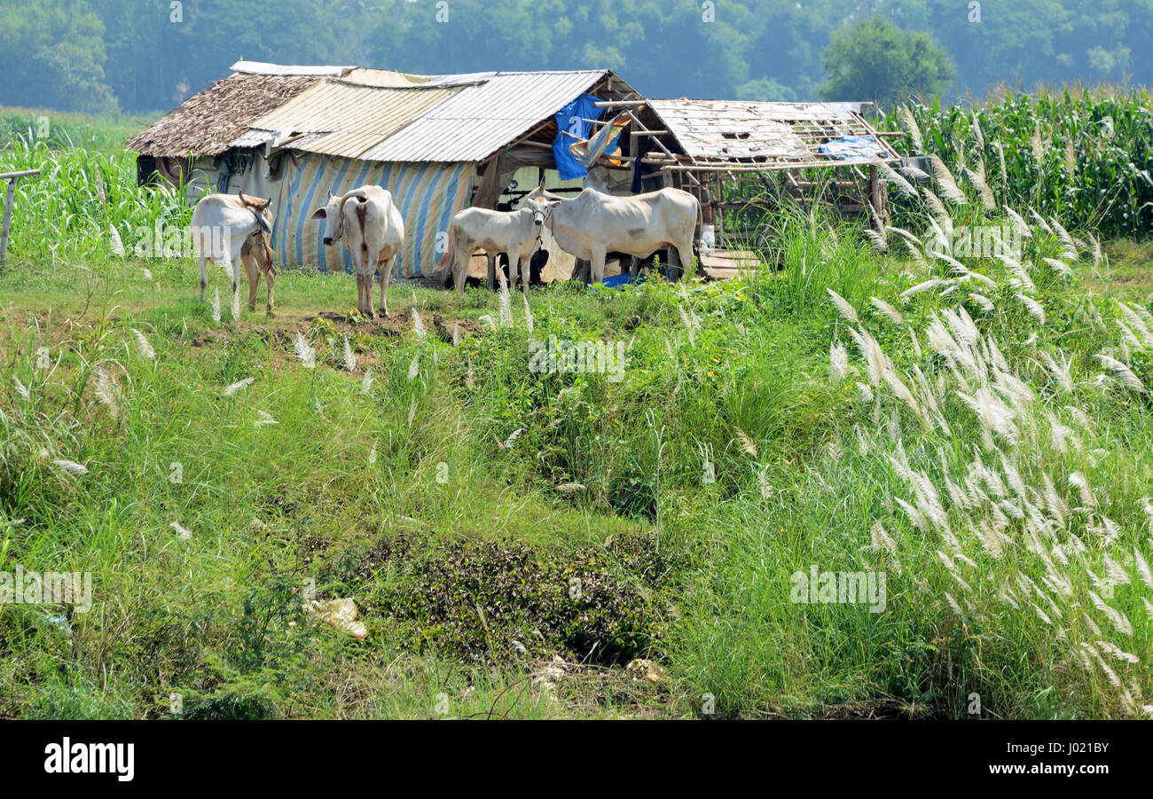 Rural settlements hi-res stock photography and images - Alamy Rural settlements hi-res stock photography and images - Alamy