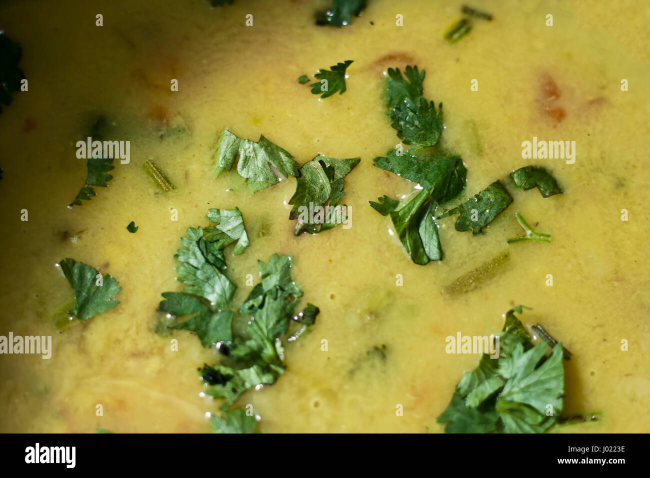 Urad ki daal also known as mass ki daal hi-res stock photography and ...
