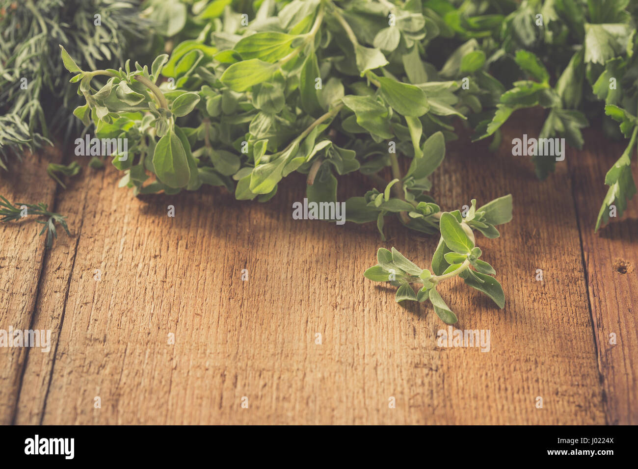Spicy grass marjoram, dill and parsley on a wooden table. Retro style ...