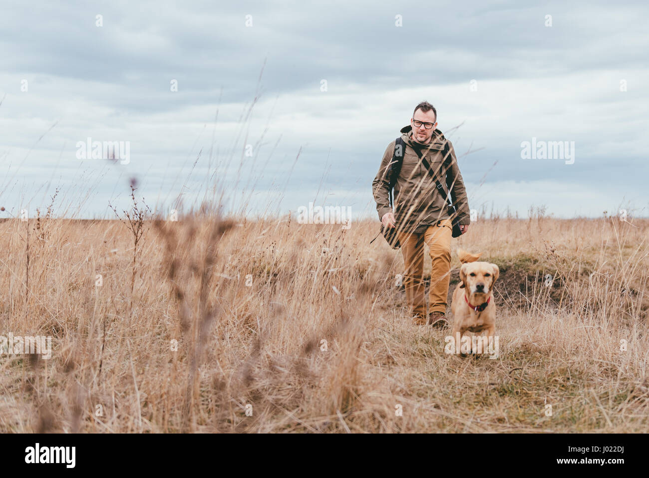Man walking small dog hi-res stock photography and images - Alamy