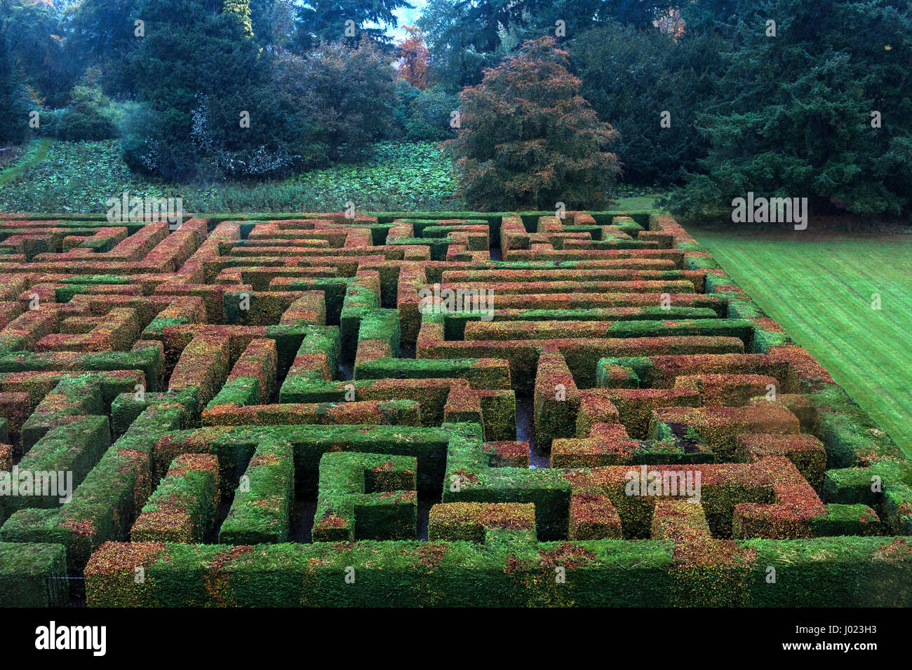 The maze at Traquair House, Scottish Borders Stock Photo - Alamy