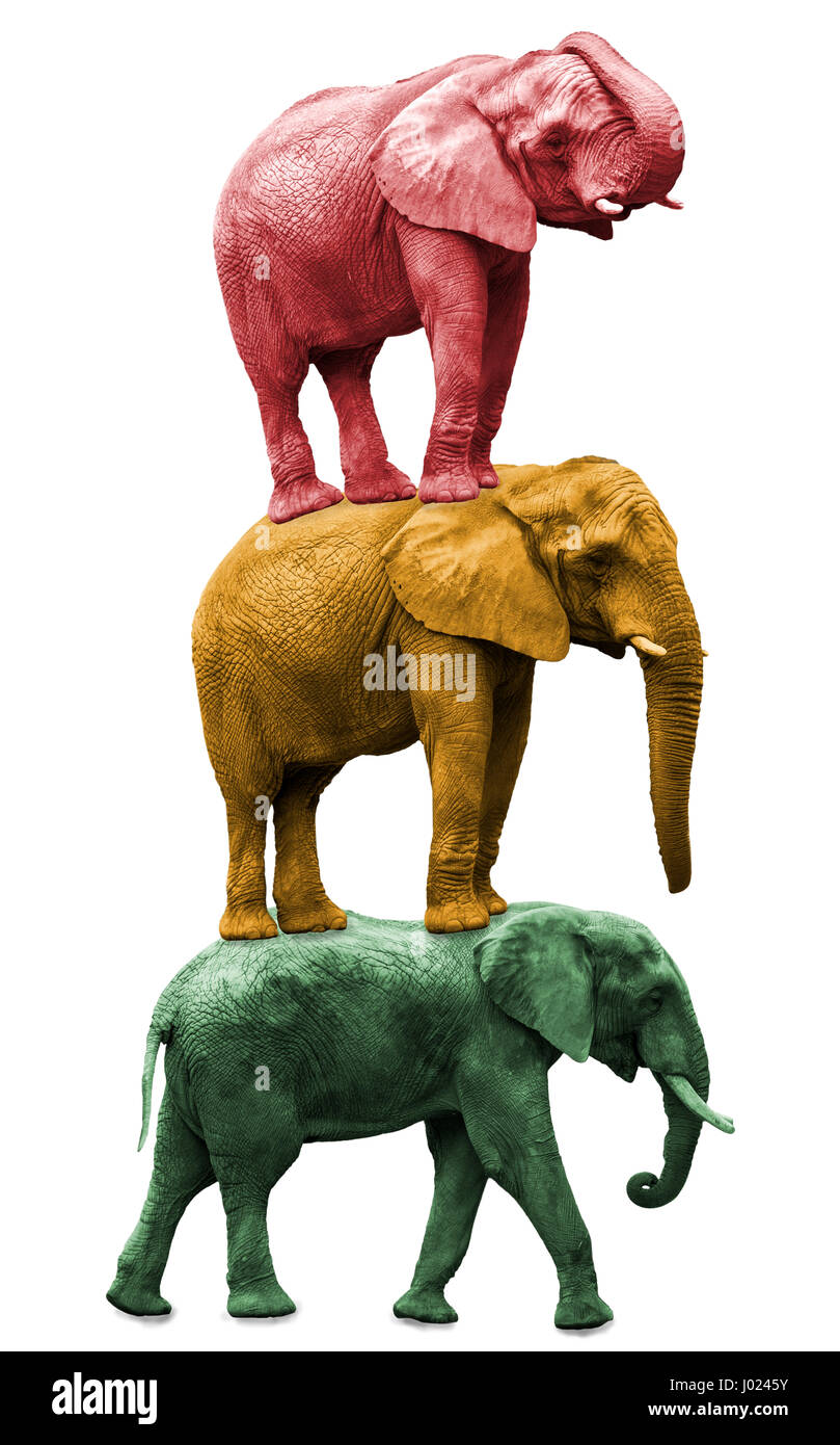 Manage elephant hi-res stock photography and images - Alamy