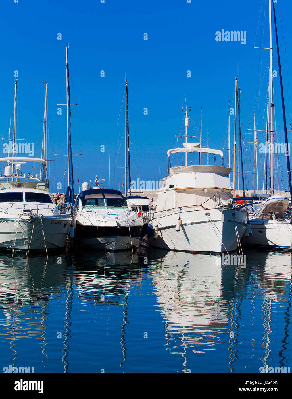 White yachts on an anchor in harbor Stock Photo - Alamy