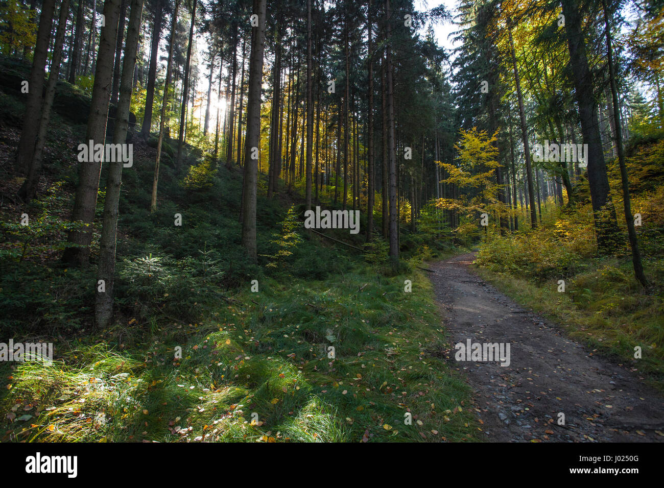Autumn in german Mountains and Forests - Saxon Switzerland is a hilly ...