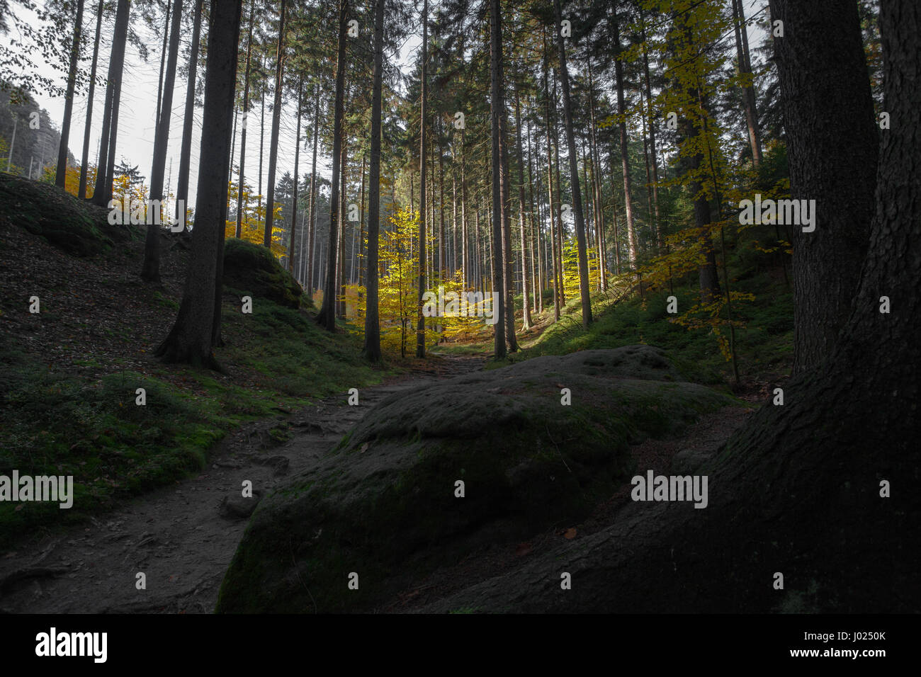 Autumn in german Mountains and Forests - Saxon Switzerland is a hilly ...