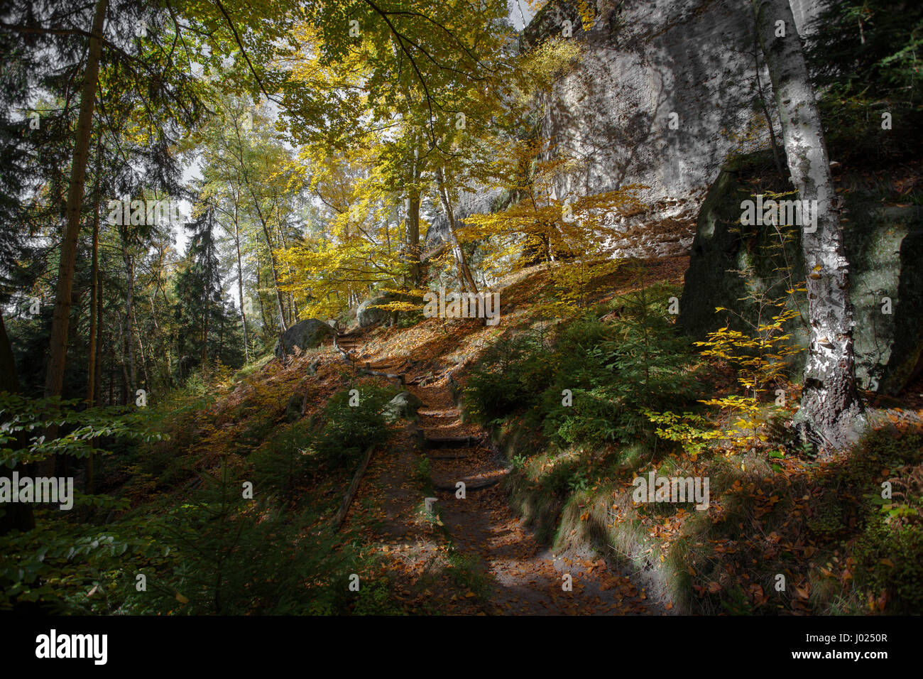 Autumn in german Mountains and Forests - Saxon Switzerland is a hilly ...