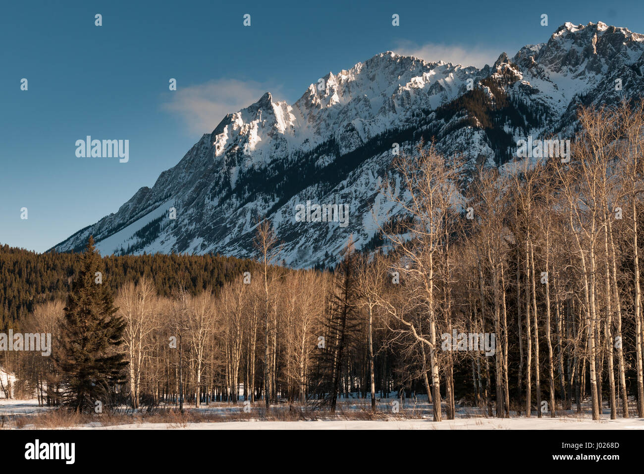 Winter Scenery in Banff National Park Alberta Canada Stock Photo - Alamy