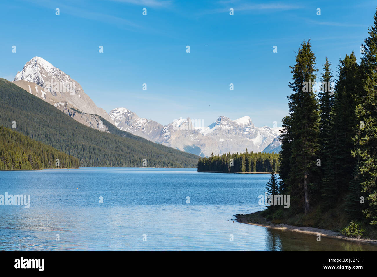 Maligne lake trail hi-res stock photography and images - Alamy