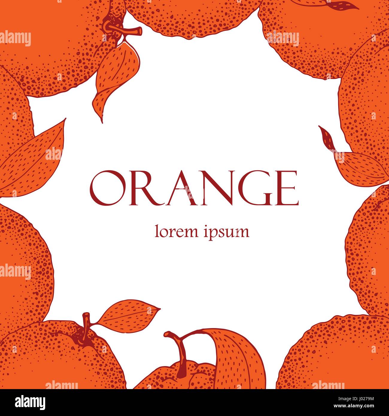 Vector hand drawn frame with oranges in sketch style. Vintage ...