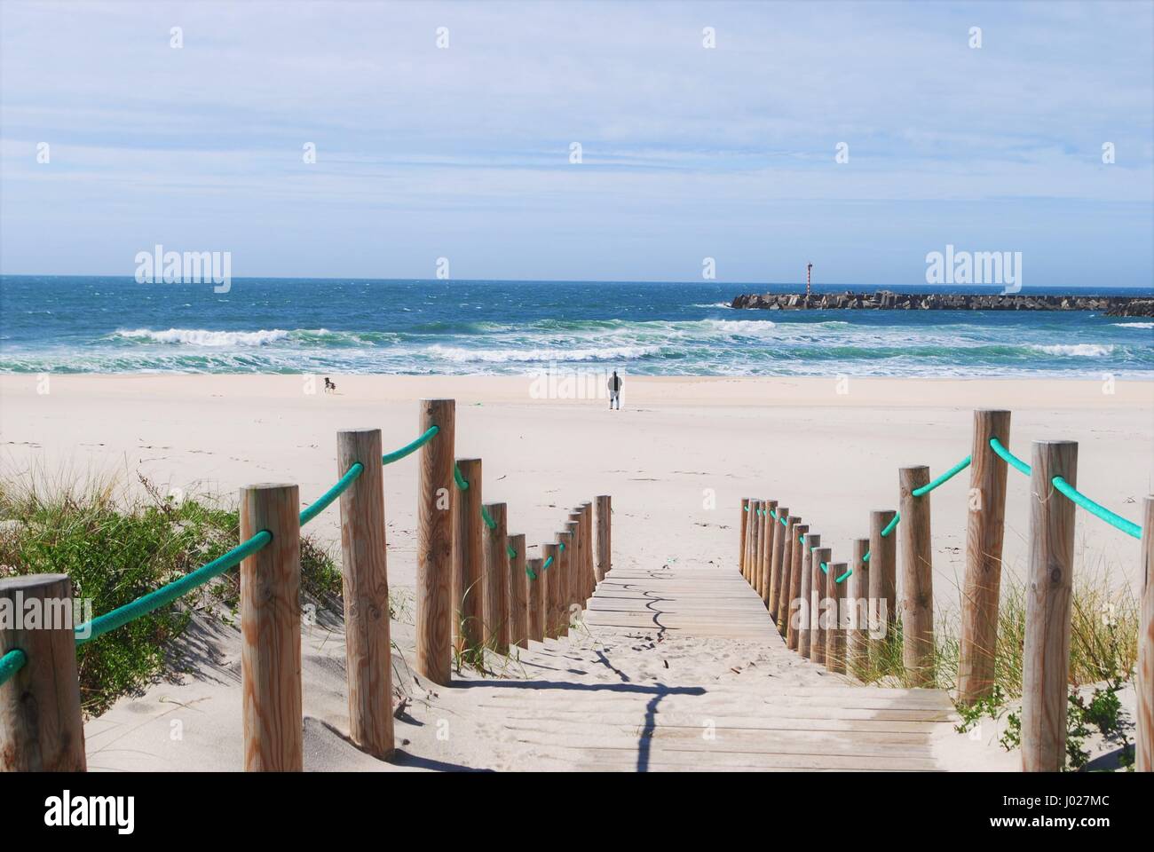 A man walking dog 3 Stock Photo - Alamy