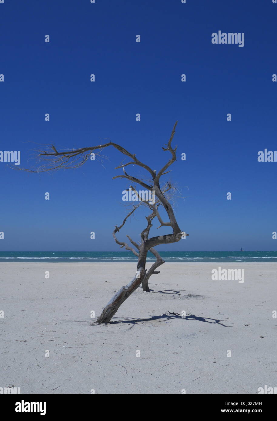 Bahrain beach hi-res stock photography and images - Alamy