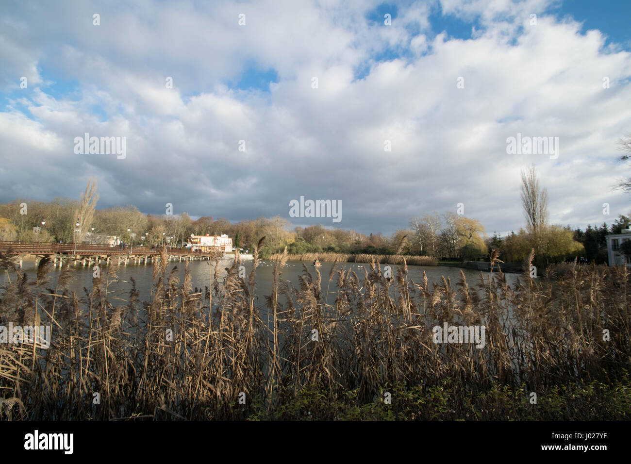 Inowroclaw High Resolution Stock Photography and Images - Alamy