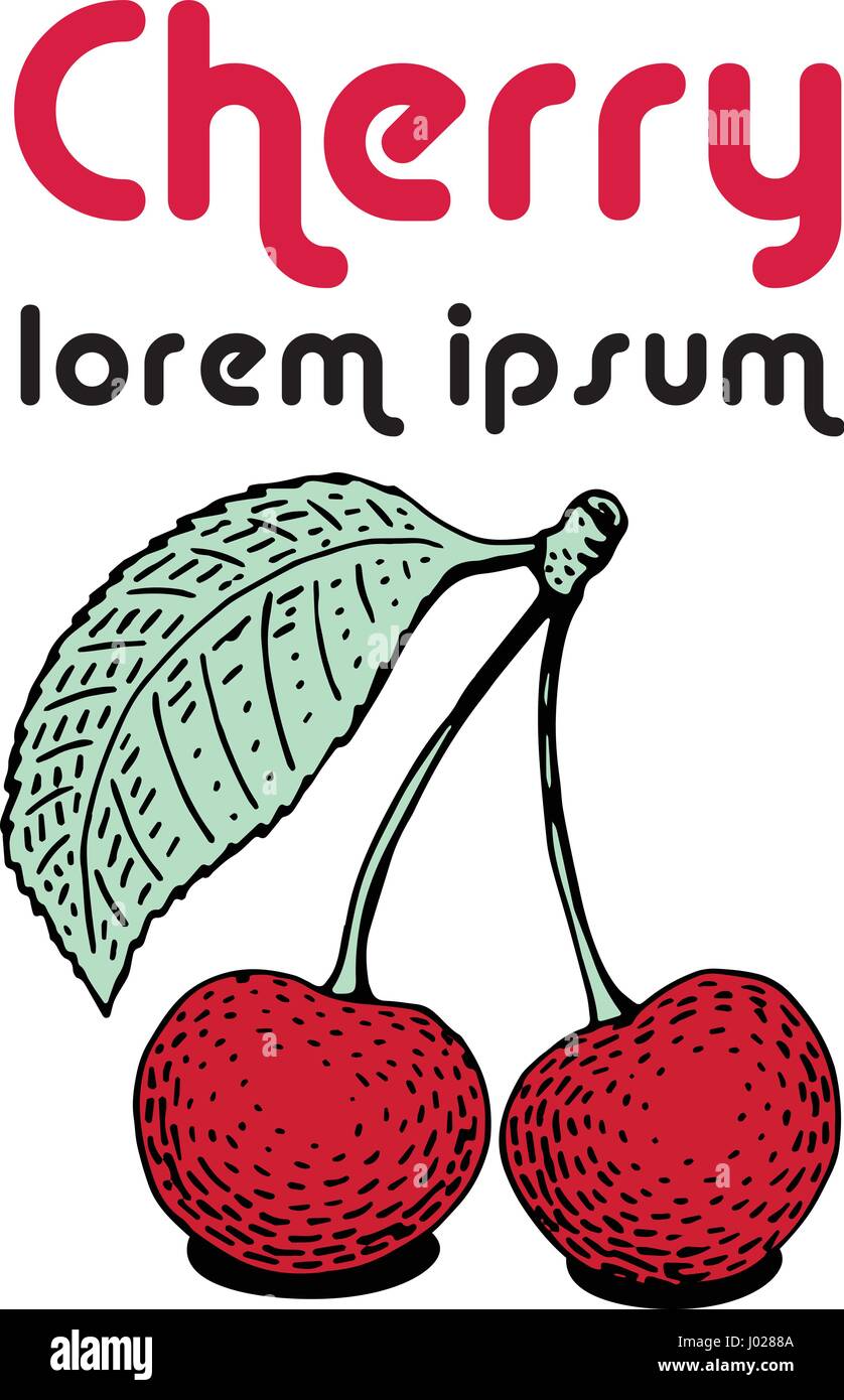 vector cherry logo template. Can be use for background, design ...