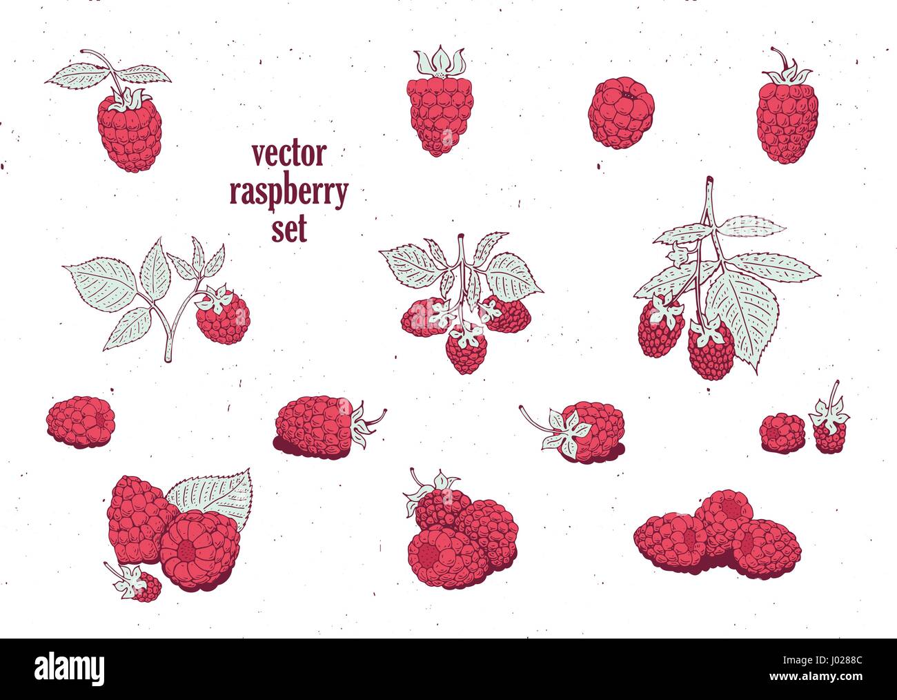 vector raspberry set. Can be use for background, design, invitation ...