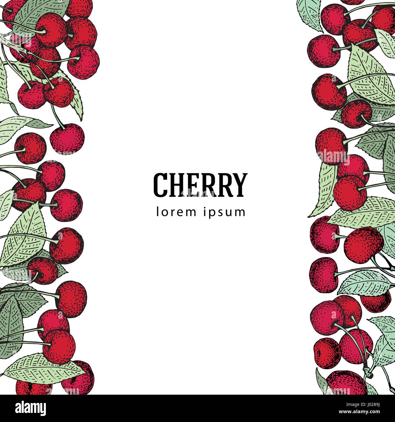 vector cherry frame Can be use for background, packaging, design ...