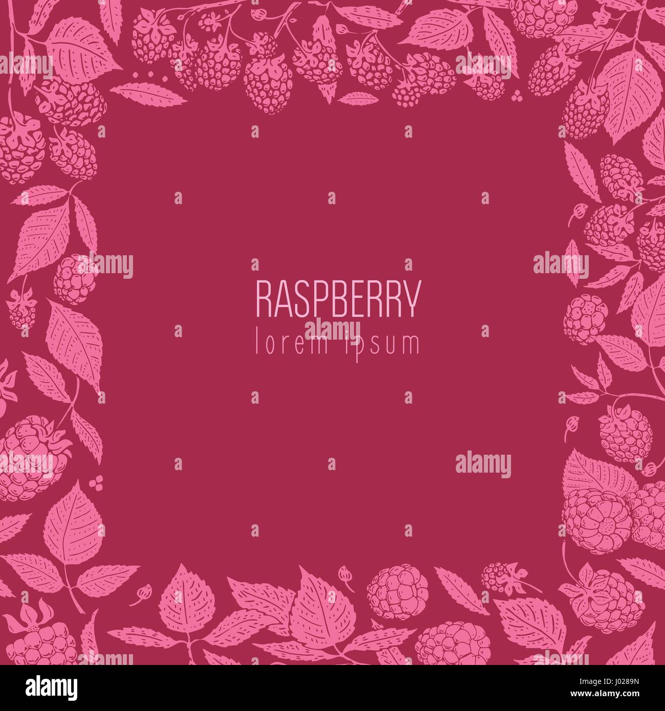 vector raspberry frame. Can be use for background, design, invitation ...